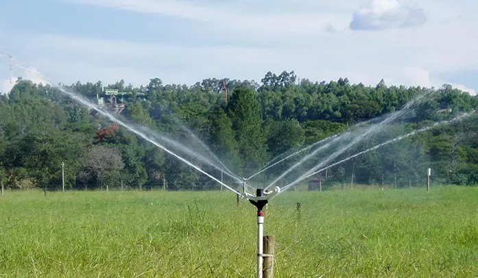 Sprinkler irrigation revolutionises fruit farming in Tangail - PKSF ...