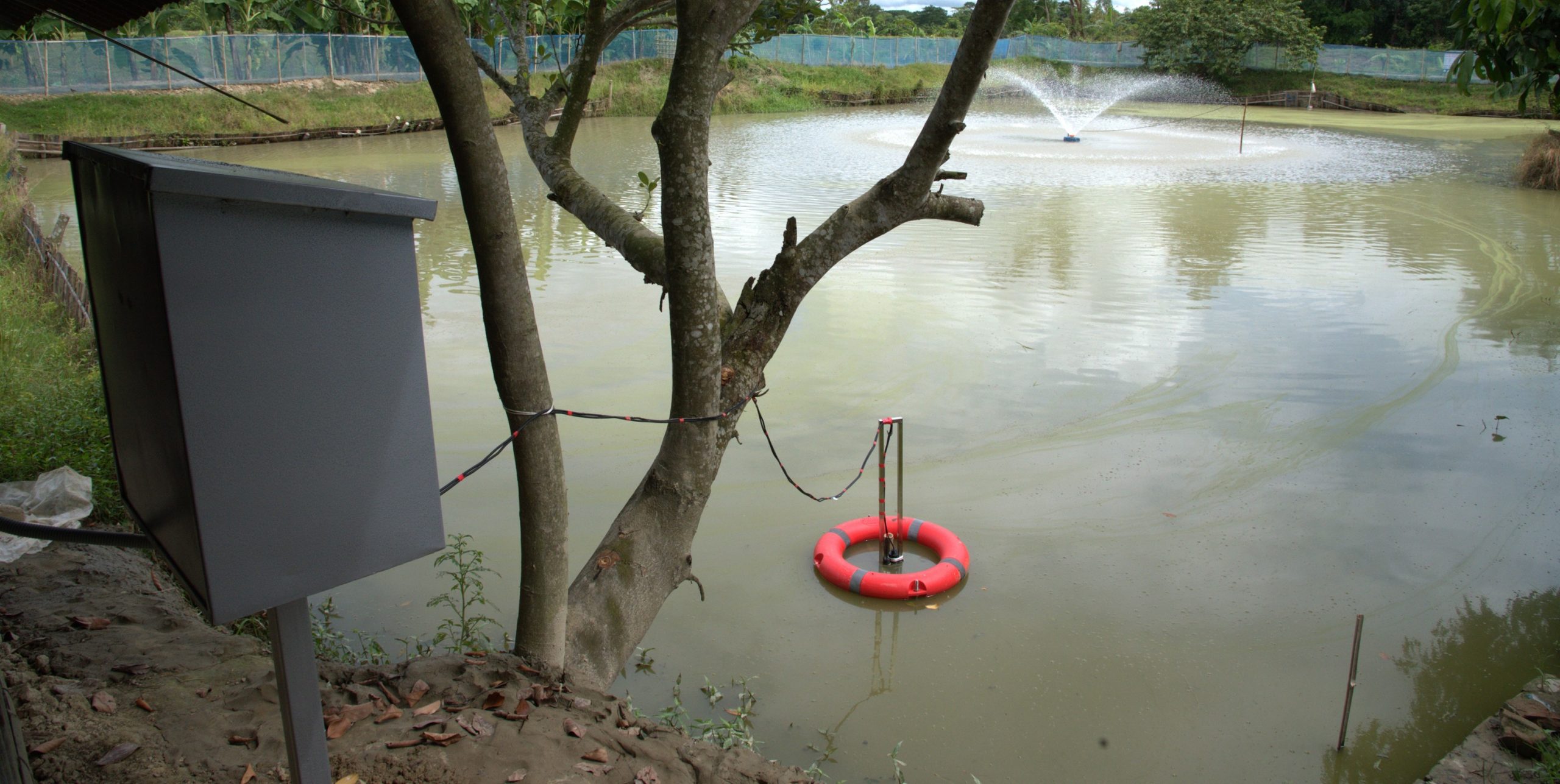 IoT in fisheries sector - PKSF-Rural Microenterprise Transformation ...